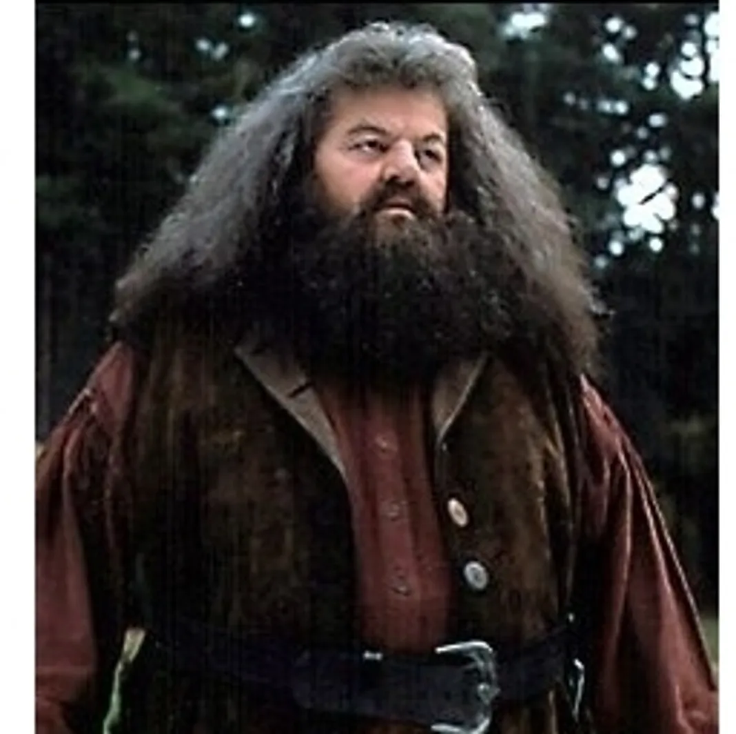 Harry Potter and the Sorcerer's Stone